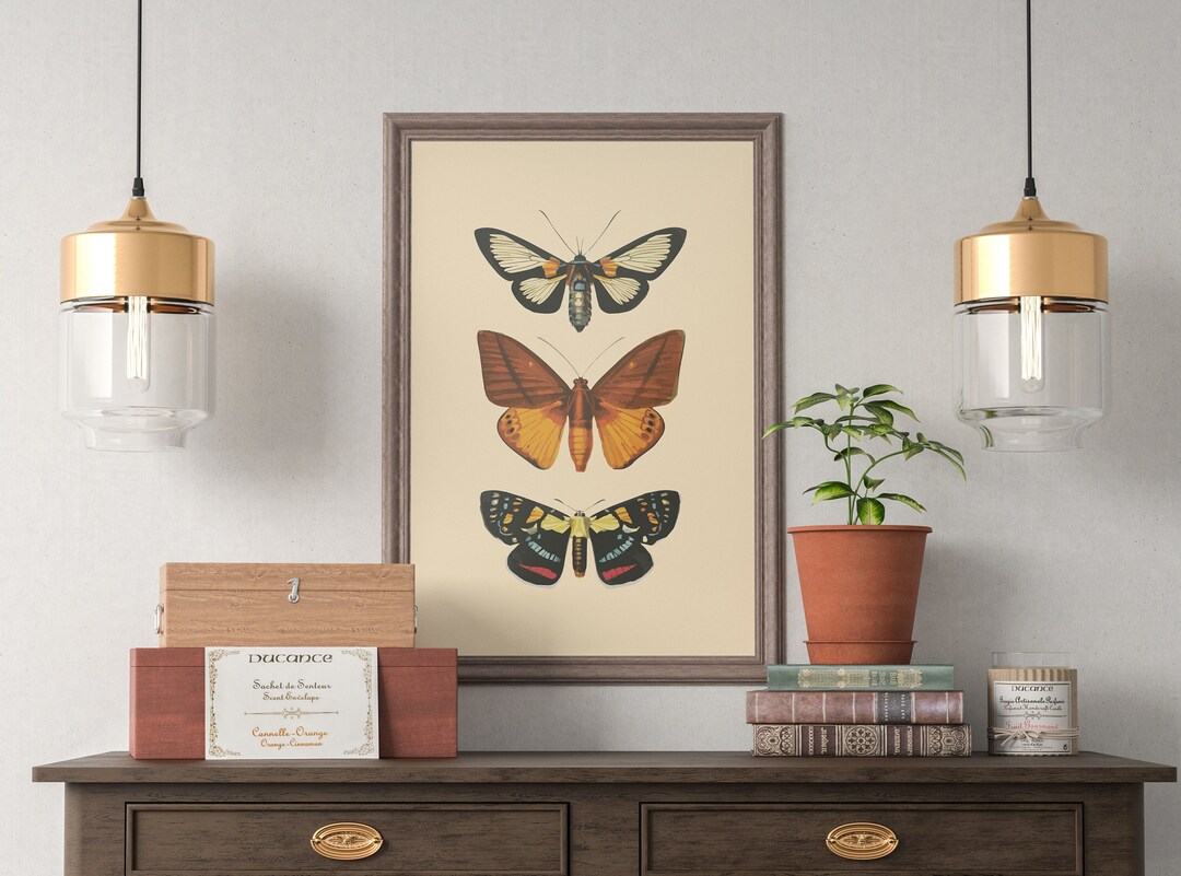 Moth Poster Fauna and Flora Wall Art, Insect Art, Butterfly Print Art ...