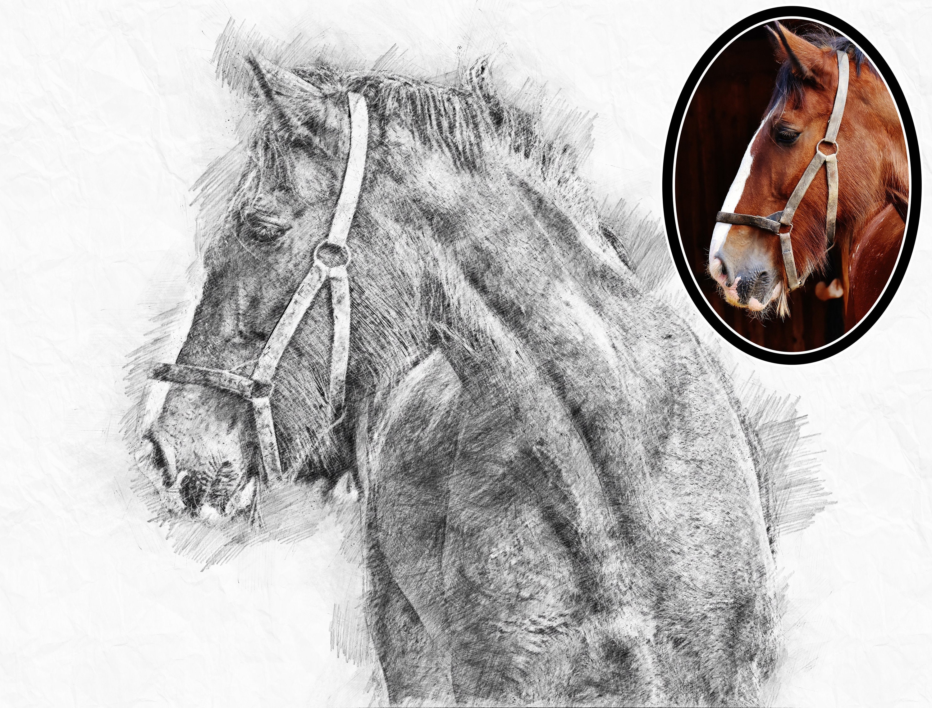 Pencil Sketch Custom Horse Portrait Personalized Pet Portrait | Etsy