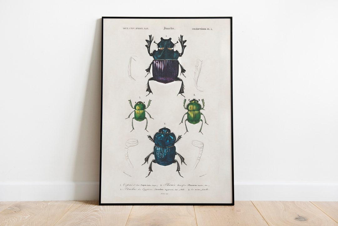 Blue Beetle Poster II Fauna and Flora Wall Art, Insect Art, Blue and ...