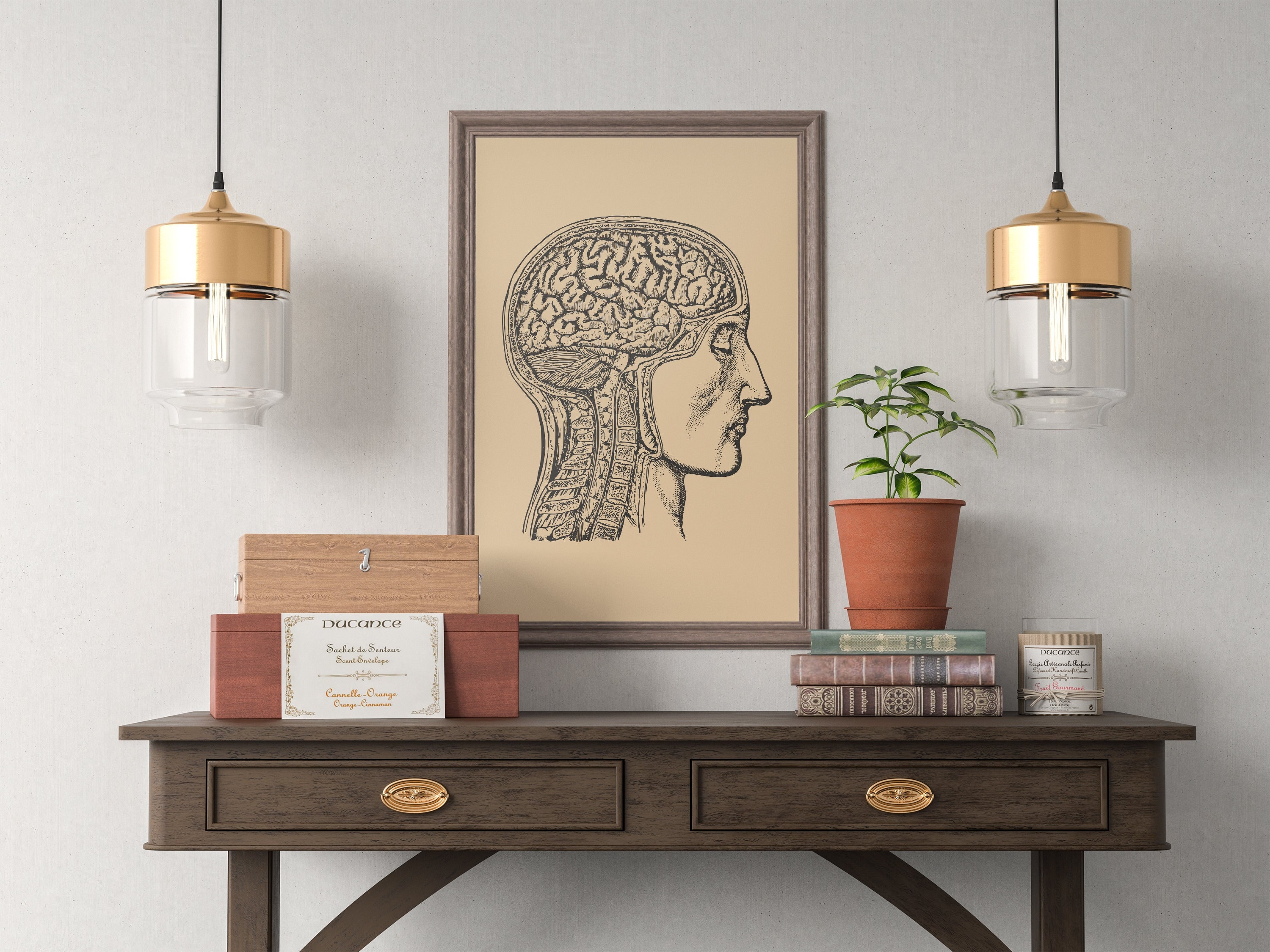 Anatomical Head Poster, Vintage Cranium Ink Sketch, Brain Anatomy ...