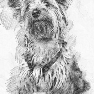 Pencil Sketch Custom Dog Portrait Pencil Wall Art Dog Gift | Etsy