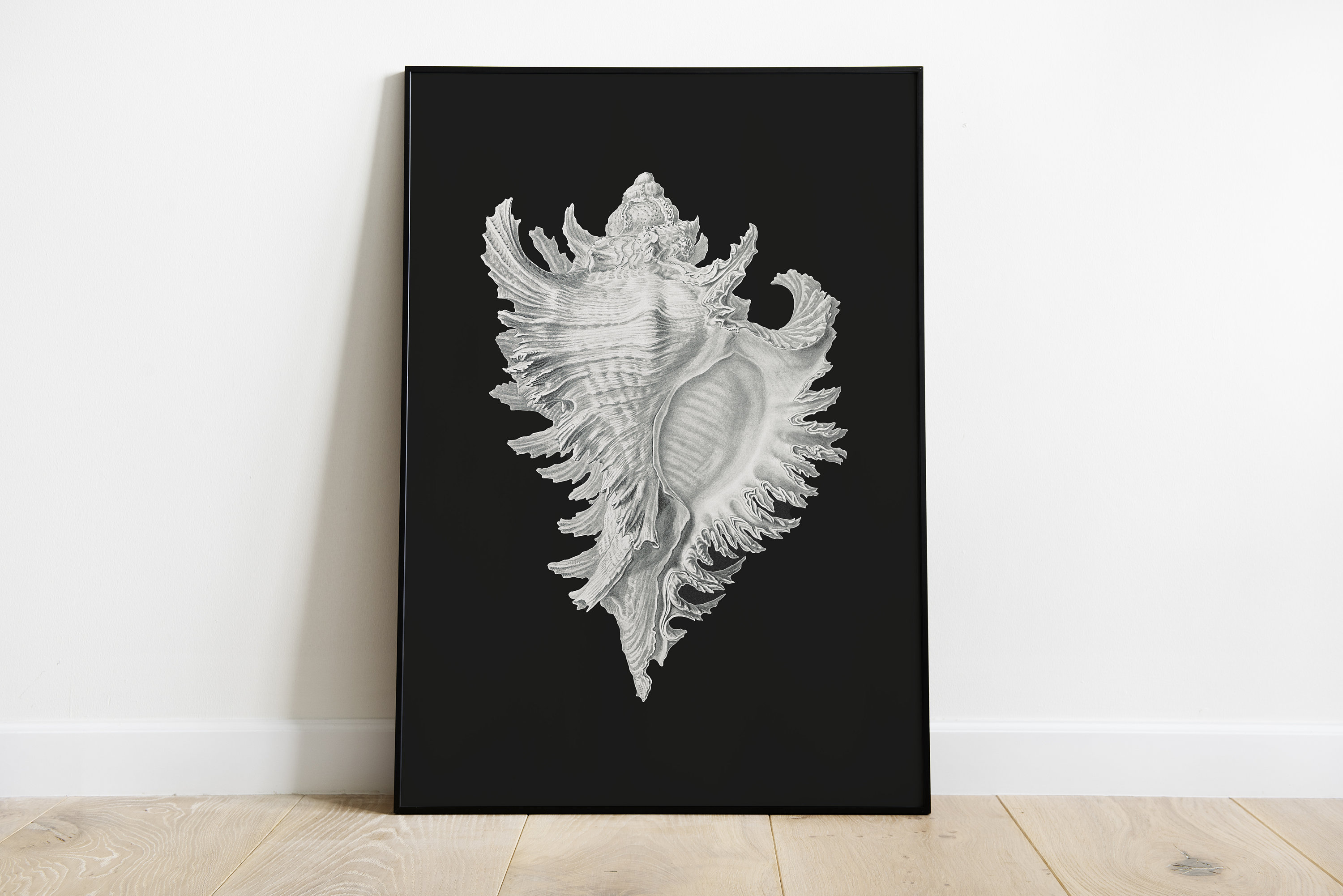 Sea Coral Brittle Star Sea Shell Poster 3 in 1 Marine Life - Etsy