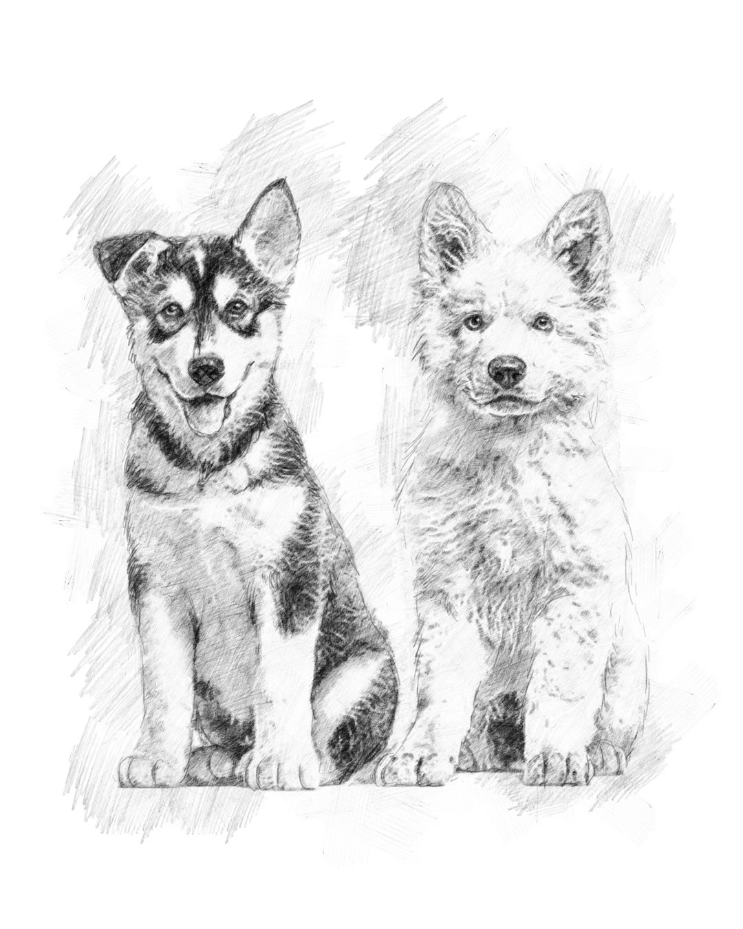 Adding Multiple Pets Into One Pencil Portrait, Personalized Pet ...