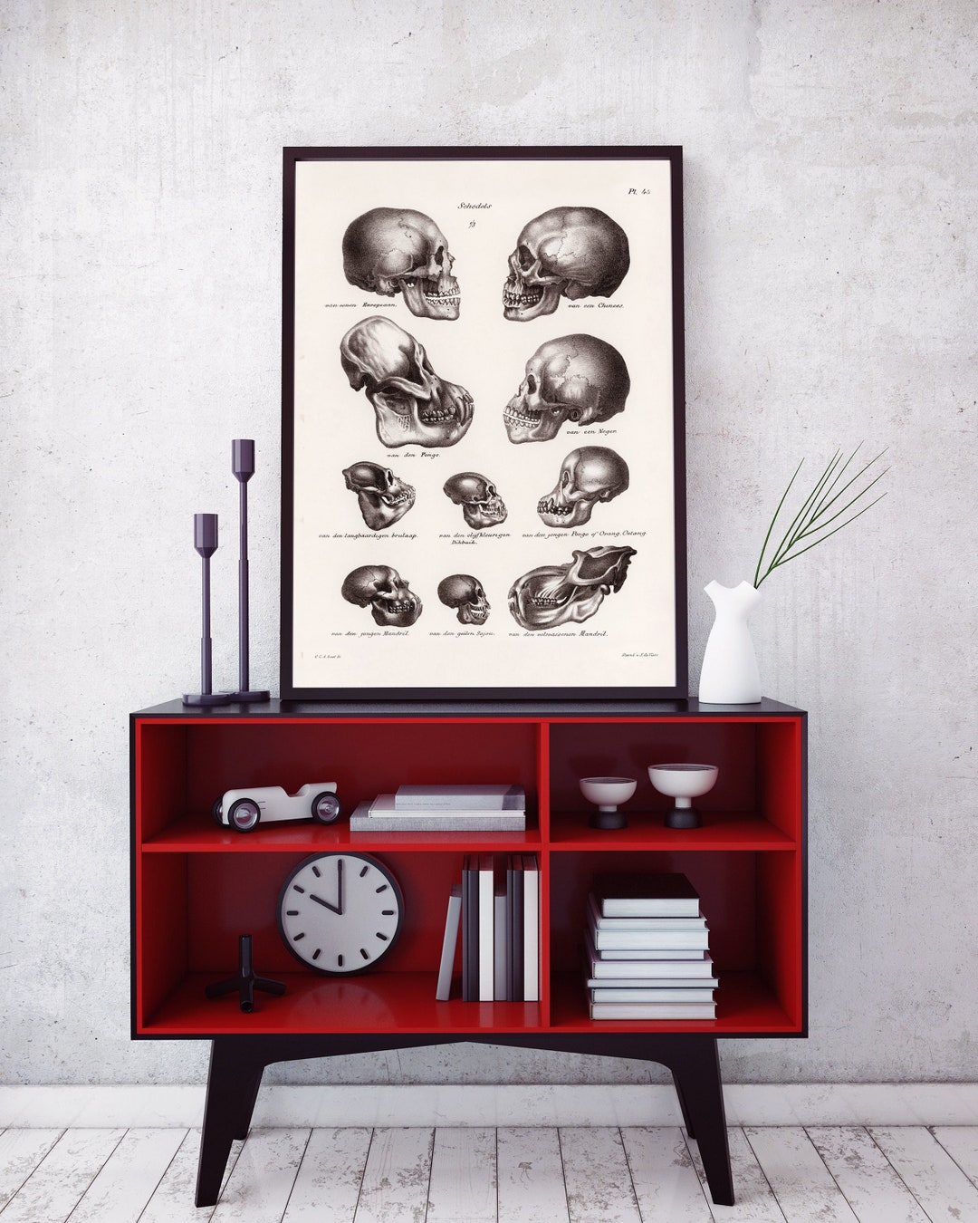 Anatomical Skulls Poster, Halloween Print, Black and White Wall Art ...