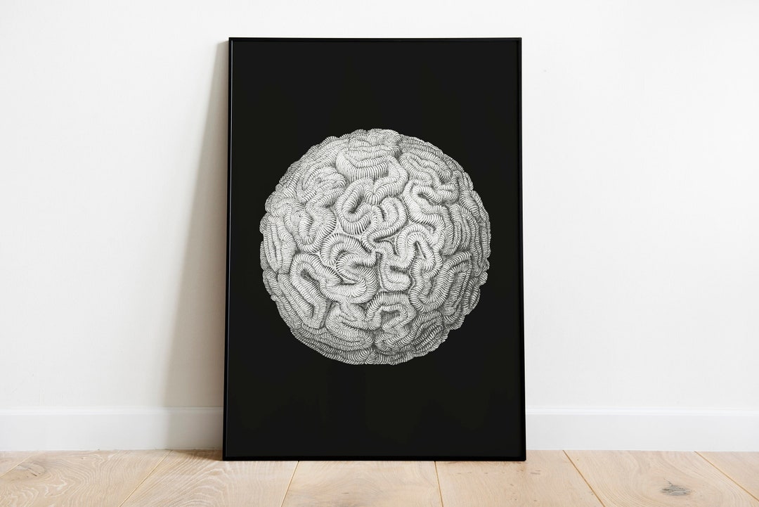 Coral Poster, Marine Life Illustration, Fauna and Flora Wall Art ...