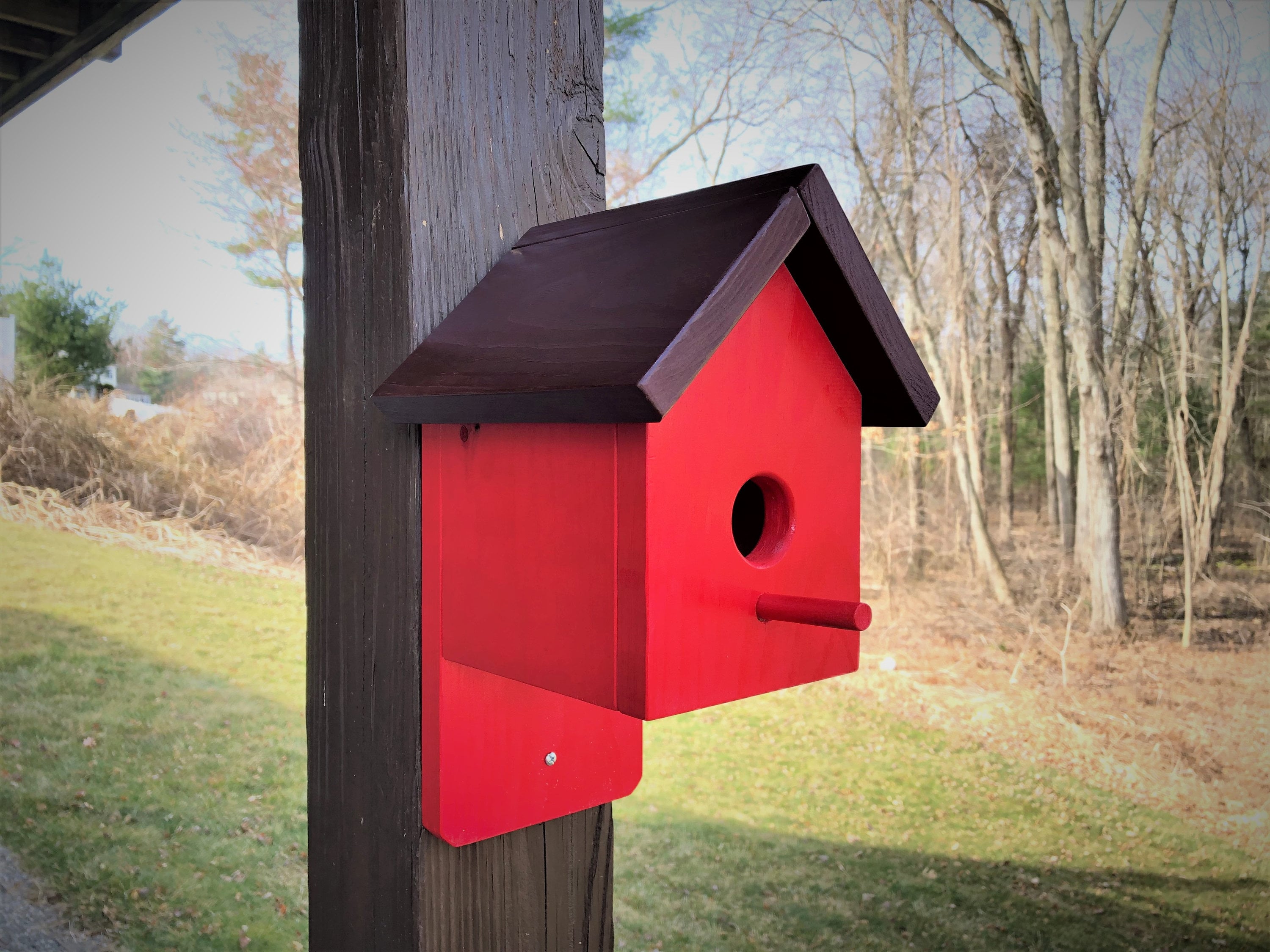Simple Bird House Plans & Instructions Super Easy DIY Nature - Etsy