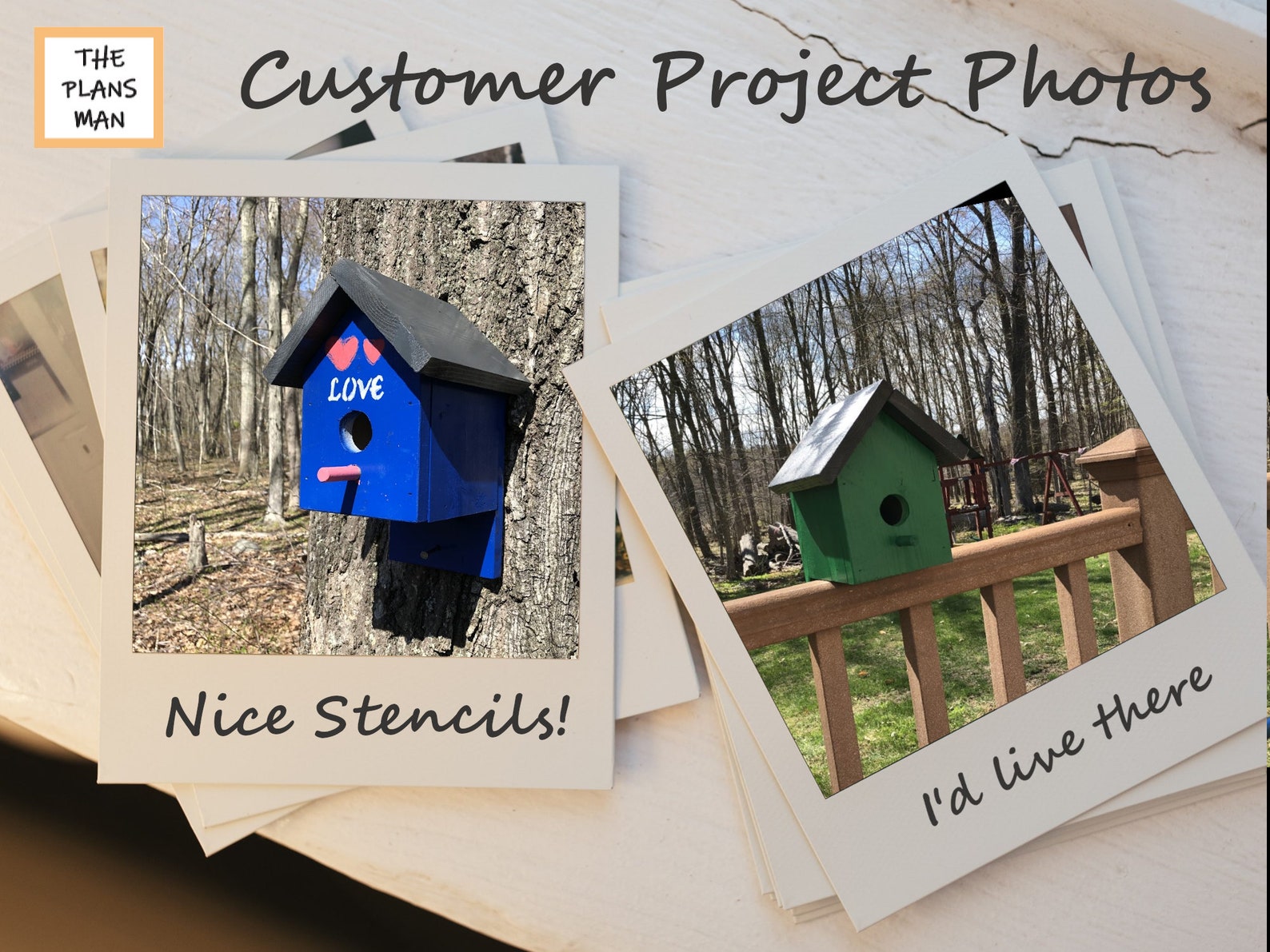 Simple Bird House Plans & Instructions Super Easy DIY Nature - Etsy