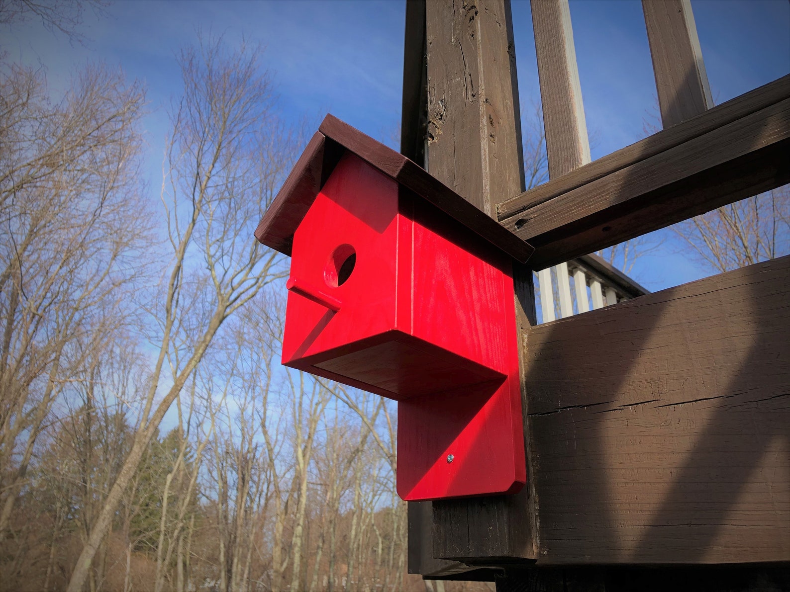 Simple Bird House Plans & Instructions Super Easy DIY Nature - Etsy