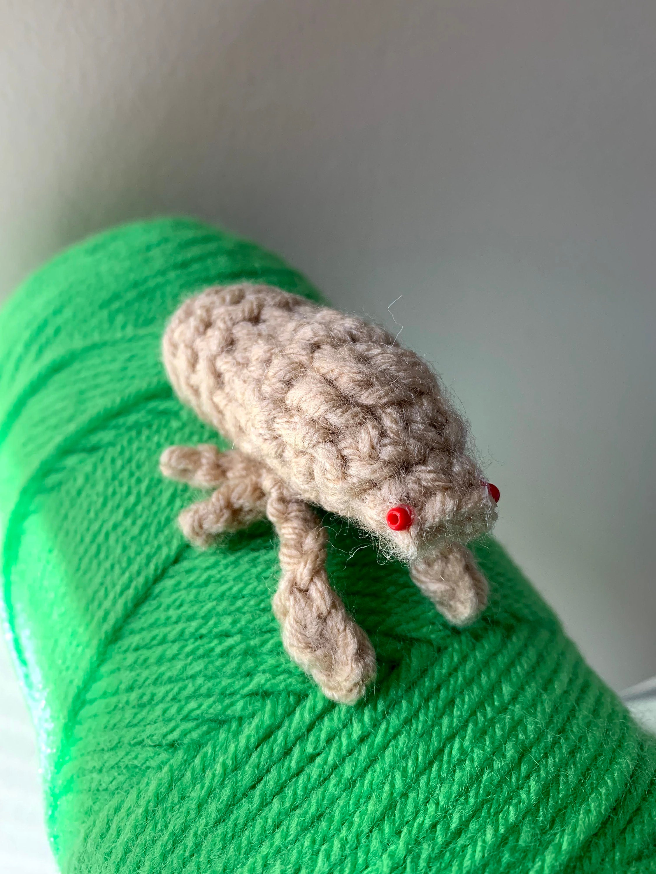 CROCHET PATTERN: Cicada Amigurumi. Nymph and Adult Cicada Included ...