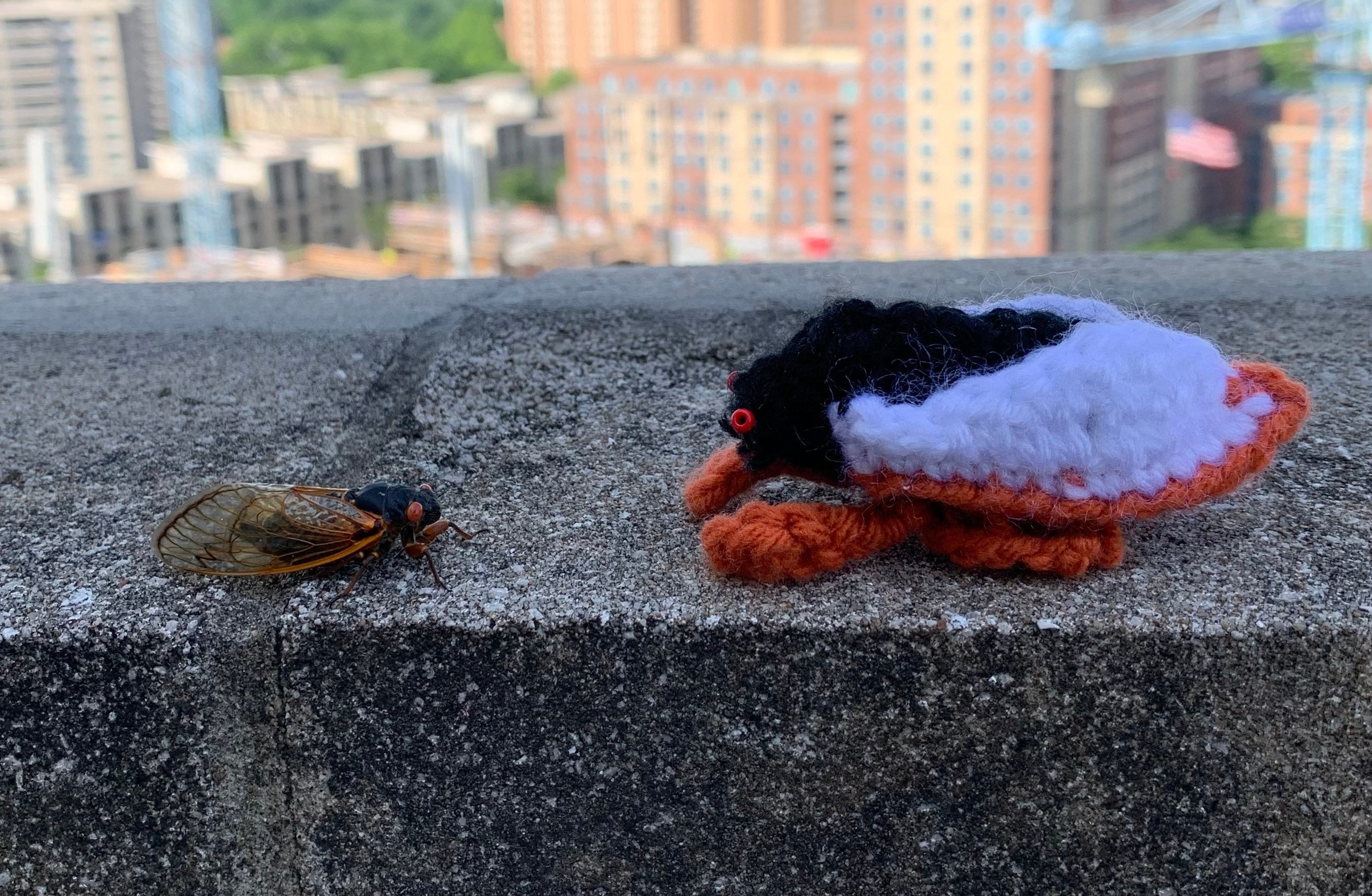 CROCHET PATTERN: Cicada Amigurumi. Nymph and Adult Cicada | Etsy