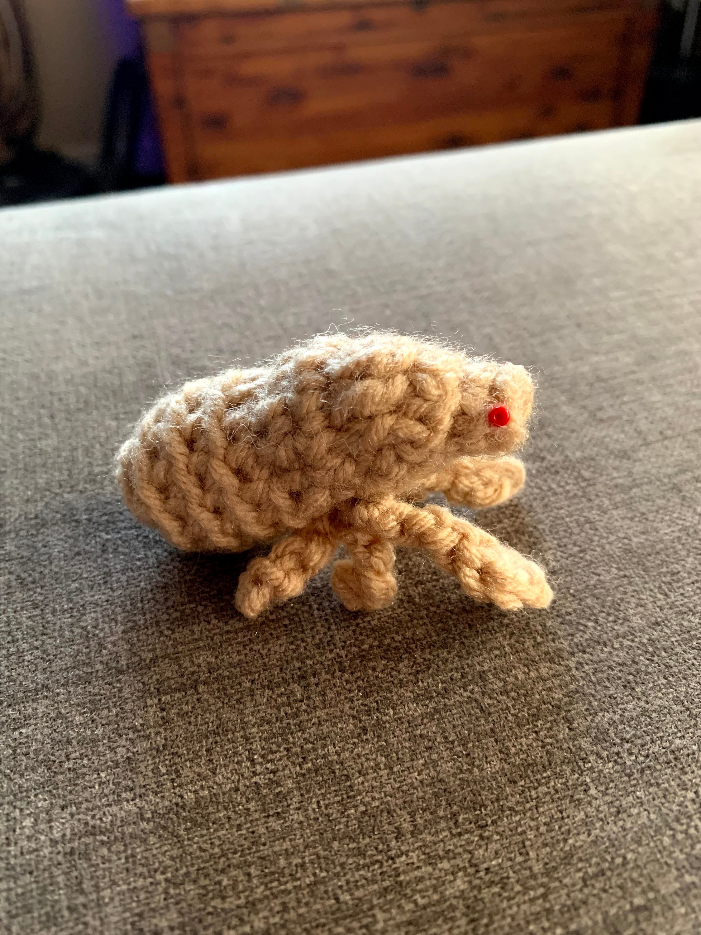 CROCHET PATTERN: Cicada Amigurumi. Nymph and Adult Cicada | Etsy