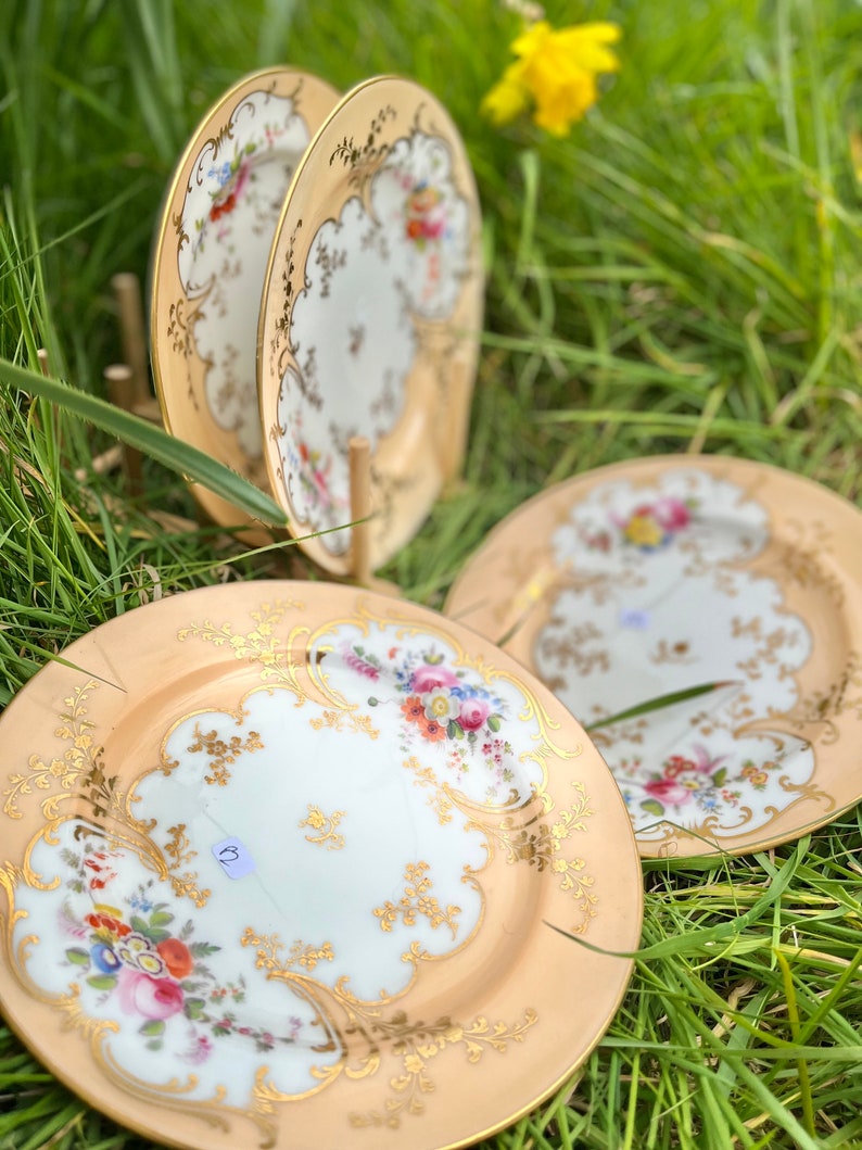 Antique Royal Minton Hand Painted Fine Bone China Plates With Floral ...
