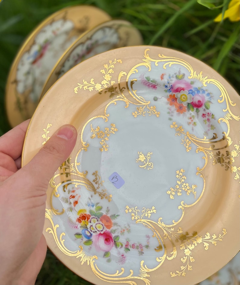 Antique Royal Minton Hand Painted Fine Bone China Plates With Floral ...