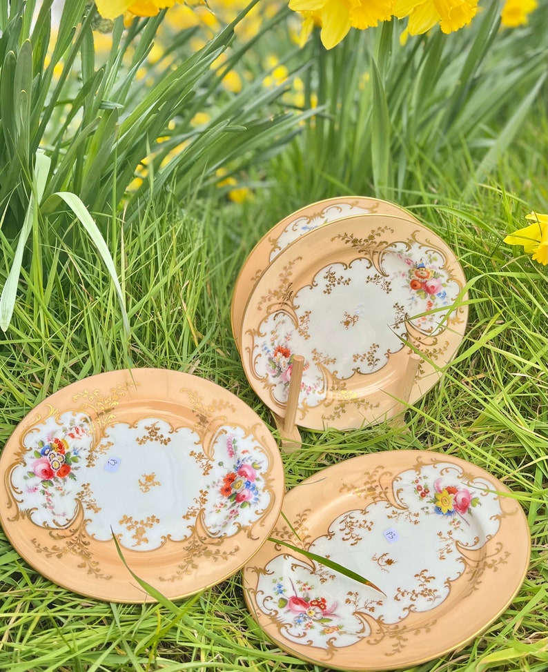 Antique Royal Minton Hand Painted Fine Bone China Plates With Floral ...