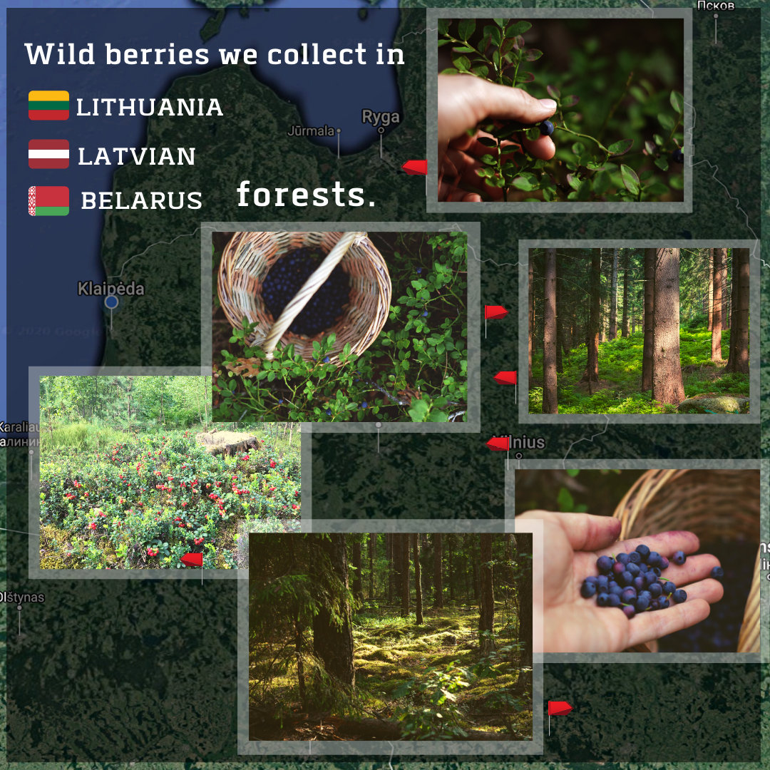 Northern Wild Bilberry Powder - Powerful Antioxidant - Without ...