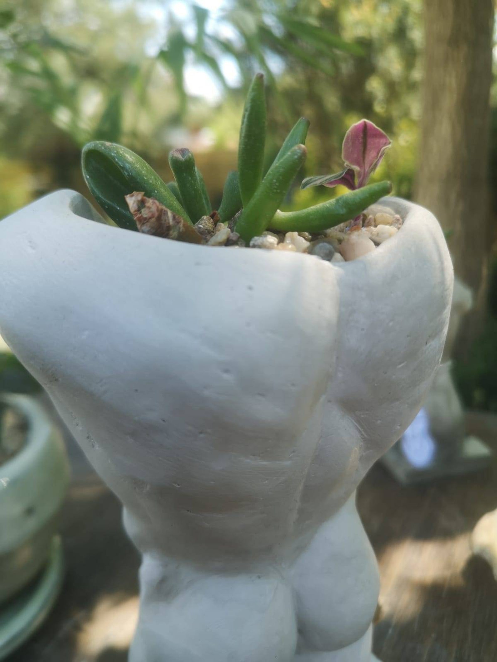 Male Torso Plant Handmade Sculpture pot | Etsy