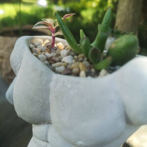 Male Torso Plant Handmade Sculpture Pot - Etsy
