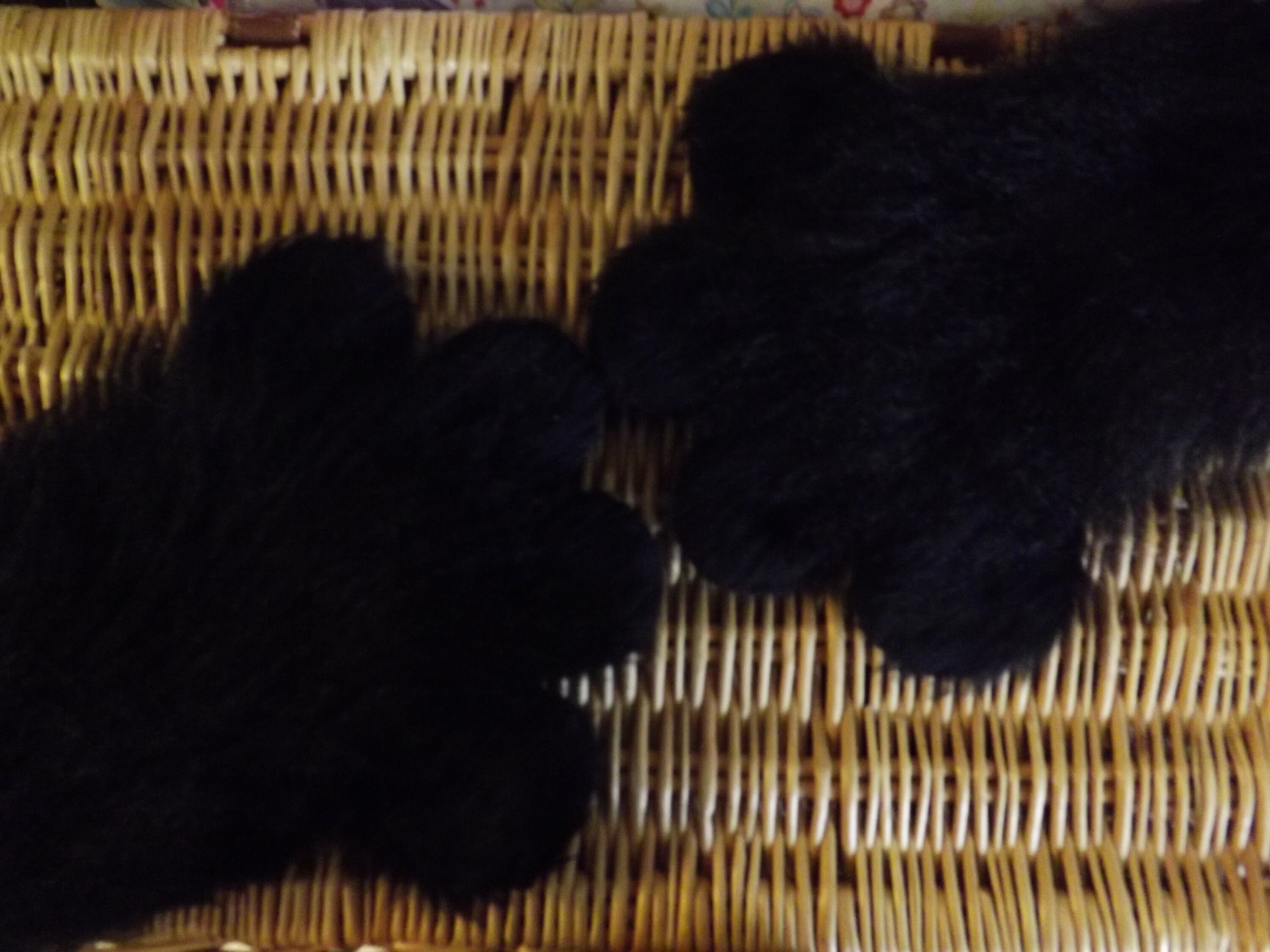 Fursuit Hand Paws Black Fur and Red Paw Pads Made to Order - Etsy UK