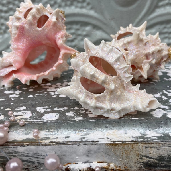 Pink Shell Ornament - Etsy