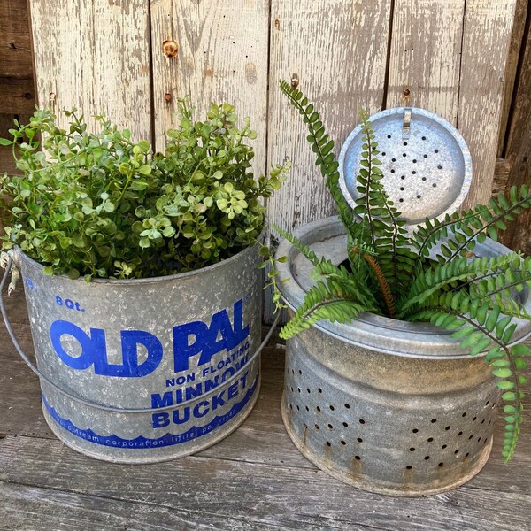 Minnow Bucket - Etsy