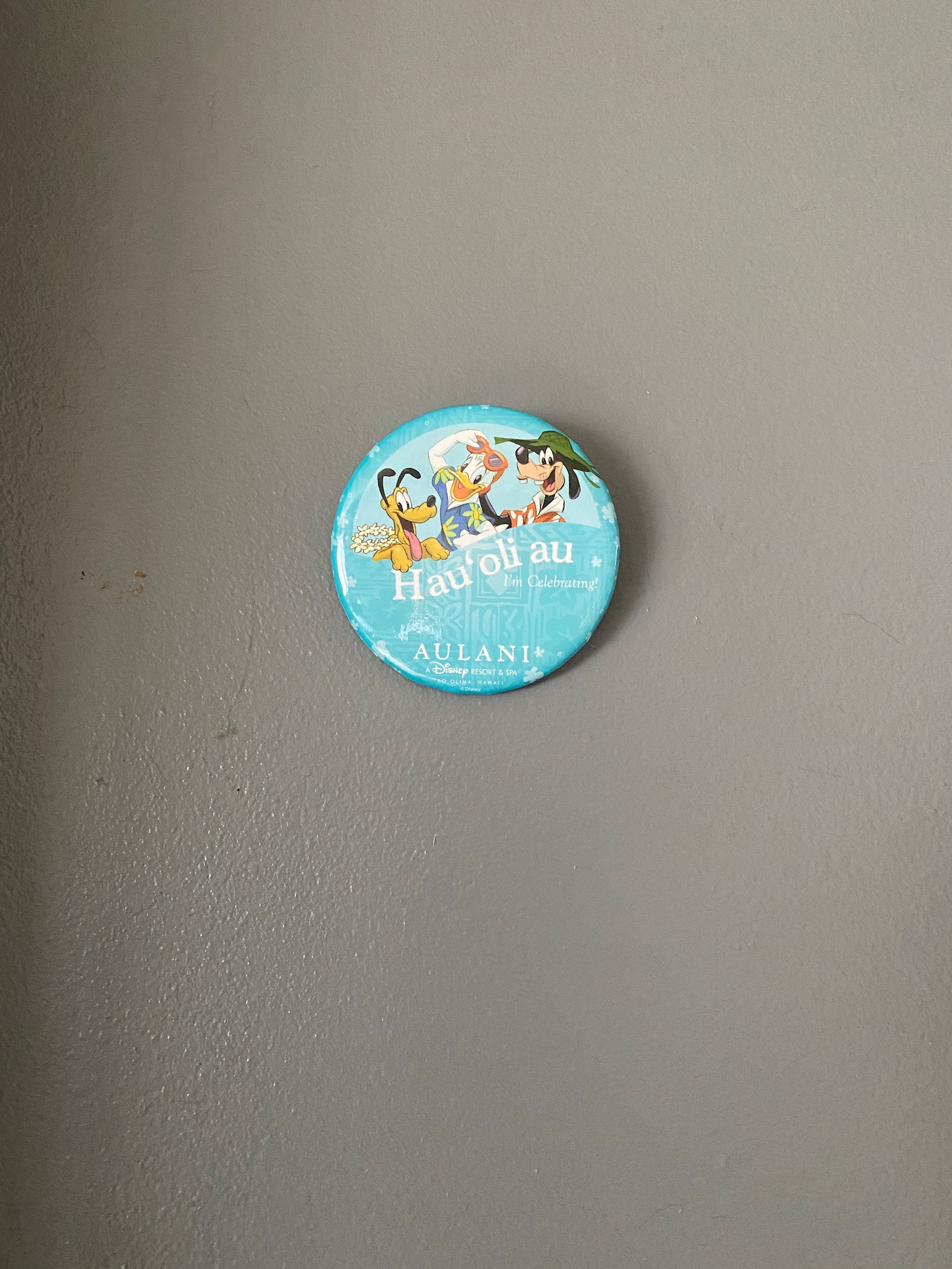 Button Wall Display - Etsy