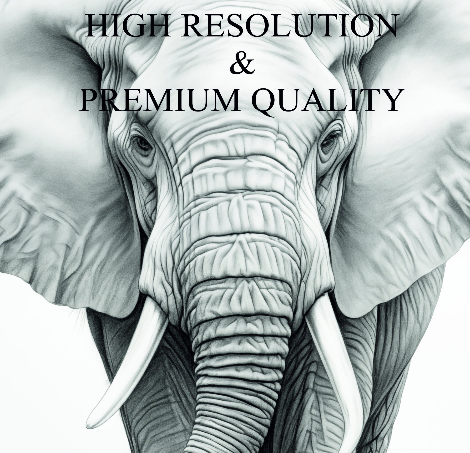 Printable Black and White Sketch Prints, Pencil Drawing, Wildlife ...