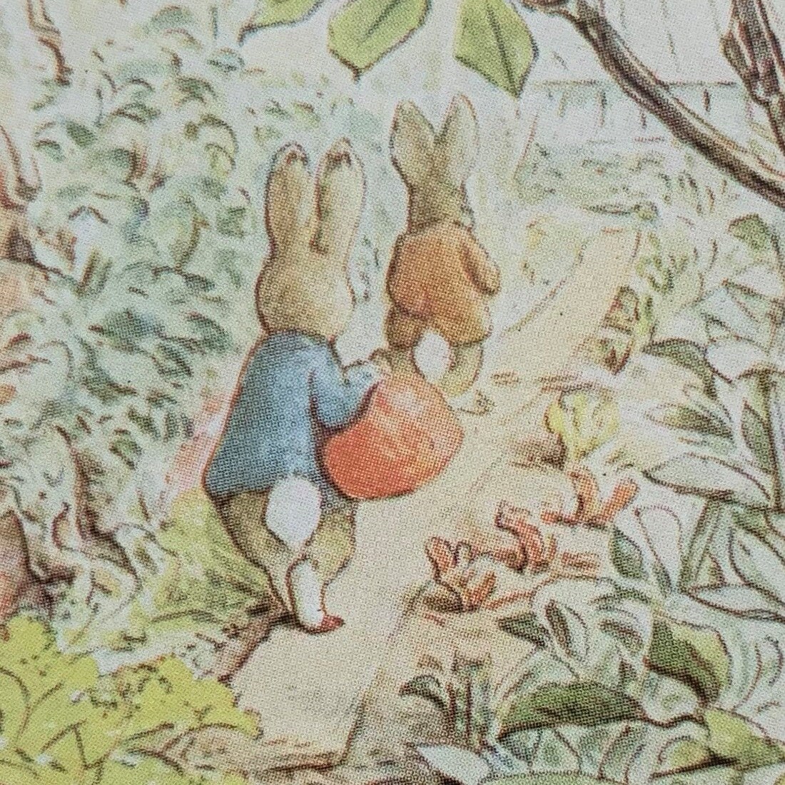 1920's Vintage 'peter Rabbit Holding His Hanky' - Etsy