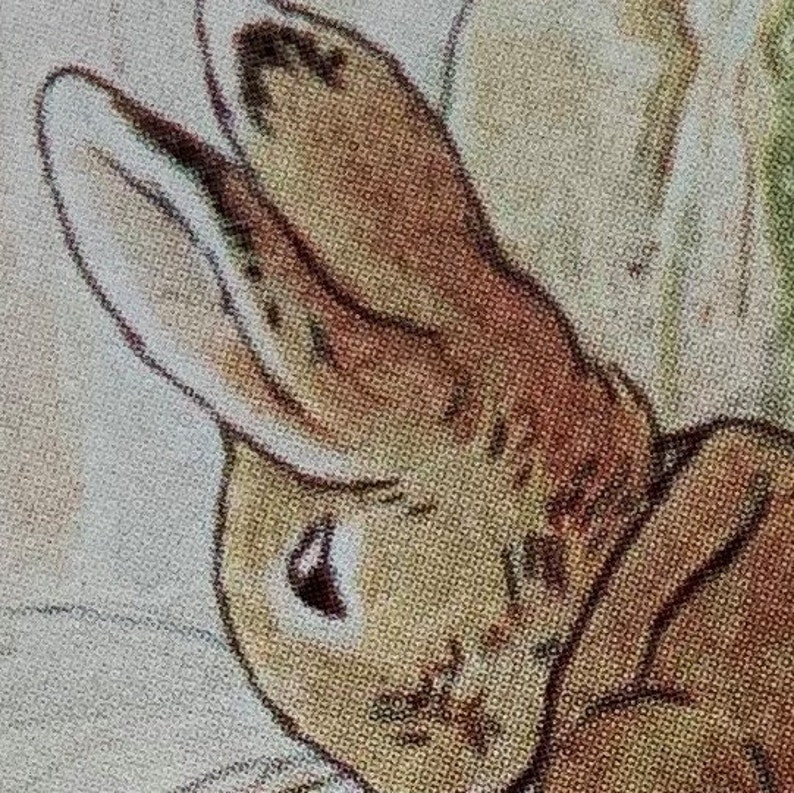 1920's 'Peter Rabbit in a Handkerchief' and | Etsy