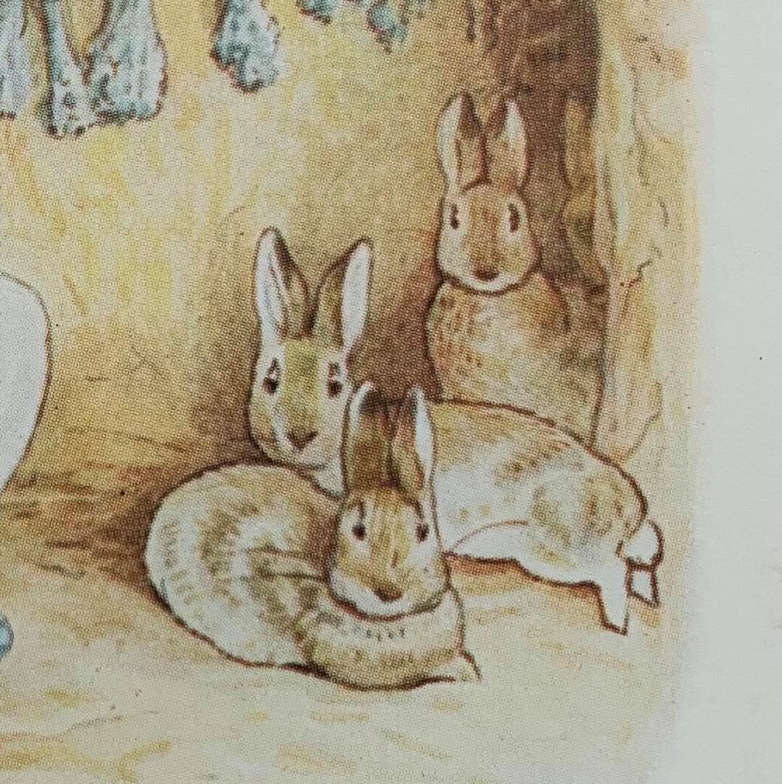 1920's 'flopsy Mopsy and Cotton Tail' Original - Etsy