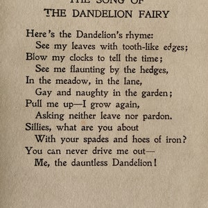 1920's Original Vintage 'the Song of the Dandelion Fairy' Flower ...