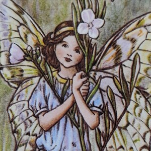 1974 Original Vintage Cicely Mary Barker Illustrated Plate 'the Song of ...