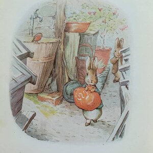 1920's Vintage 'peter Rabbit Thinking' and 'peter Rabbit With His Hanky ...