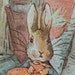 1920's Vintage 'peter Rabbit Thinking' and 'peter Rabbit With His Hanky ...