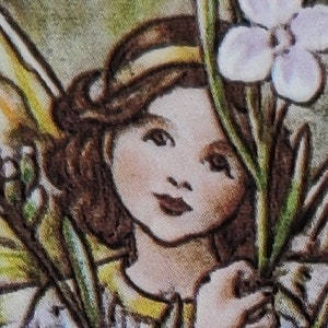 1974 Original Vintage Cicely Mary Barker Illustrated Plate 'the Song of ...