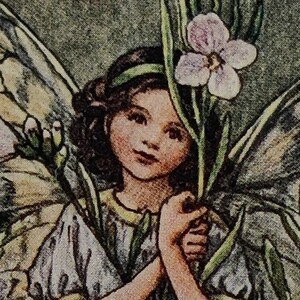 1920's Original Vintage 'the Song of the Lady's Smock Fairy' Flower ...