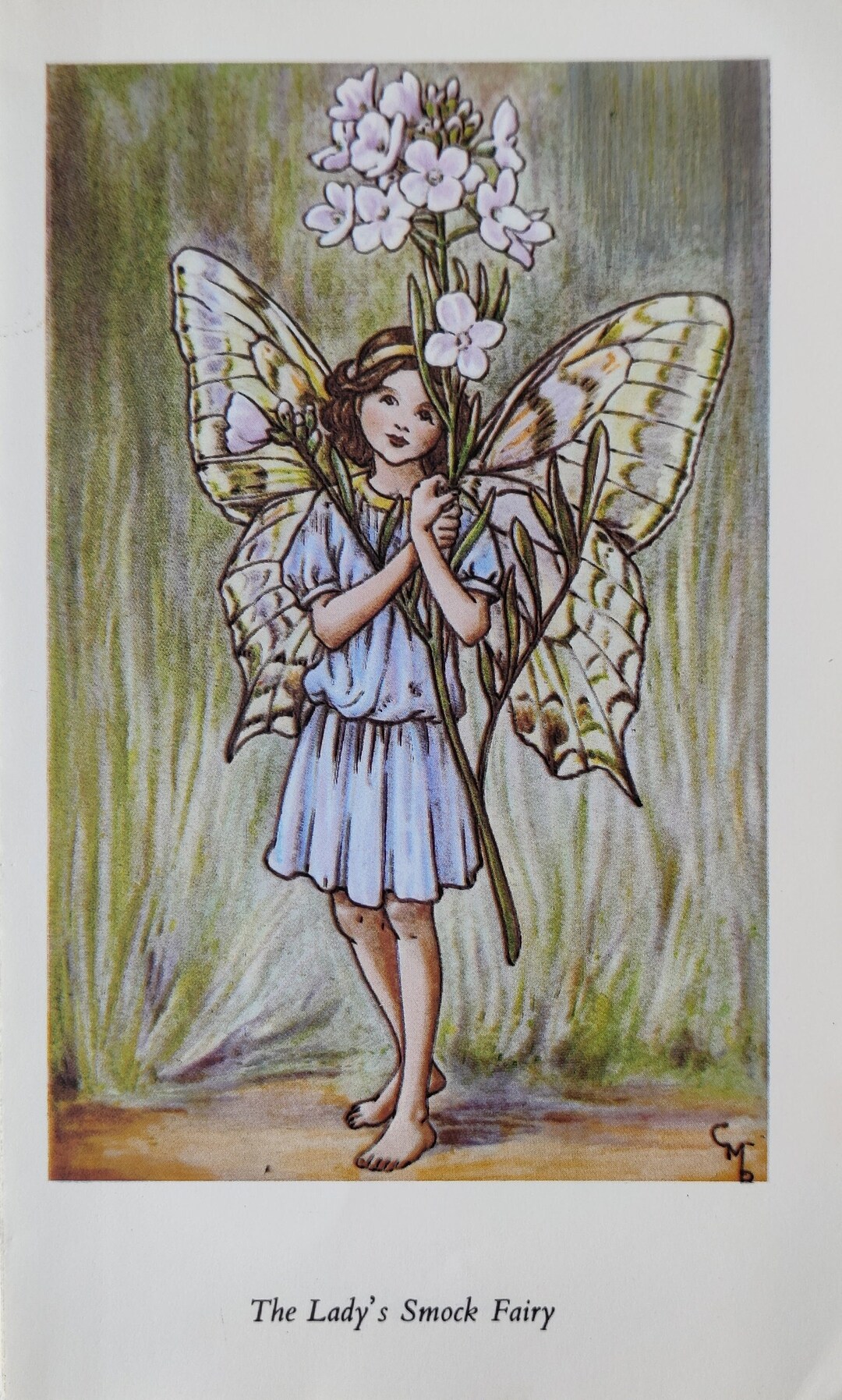 1974 Original Vintage Cicely Mary Barker Illustrated Plate 'the Song of ...