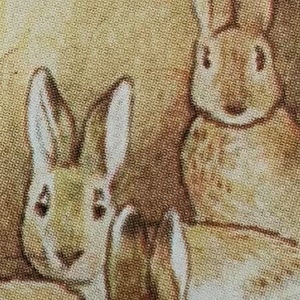 1920's 'flopsy, Mopsy and Cotton Tail' Original Colour Print - Etsy