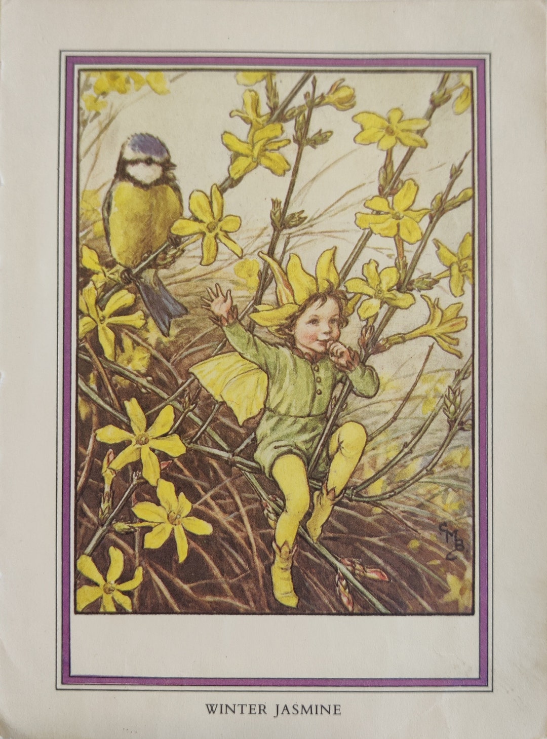 1985 Original Vintage 'the Song of the Winter Jasmine Fairy' Flower ...