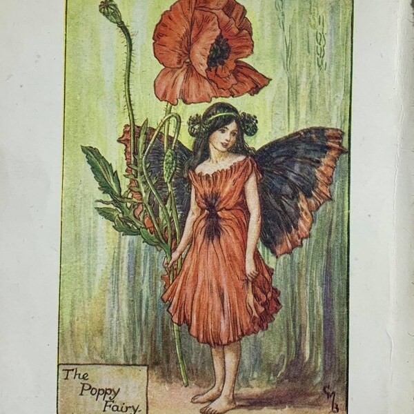 Poppy Fairy - Etsy