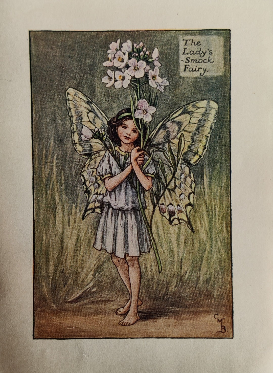 1920's Original Vintage 'the Song of the Lady's Smock Fairy' Flower ...