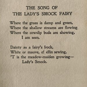 1920's Original Vintage 'the Song of the Lady's Smock Fairy' Flower ...