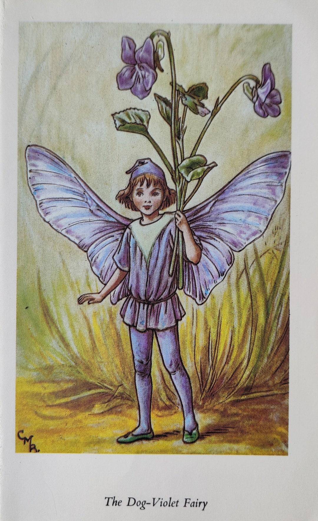 1974 Original Vintage Cicely Mary Barker Illustrated Plate 'the Song of ...