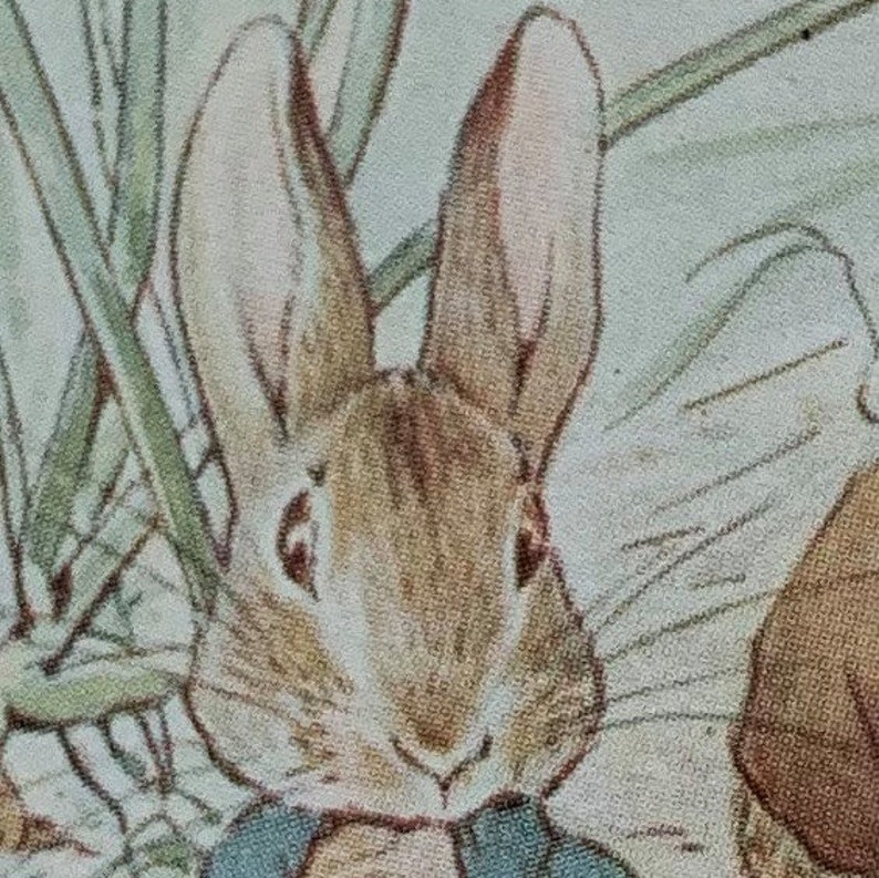 1920's Vintage 'peter Rabbit and Benjamin Bunny - Etsy