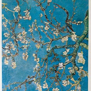 Vincent Van Gogh 'blossoming Almond Tree', Original Taschen Postcard ...