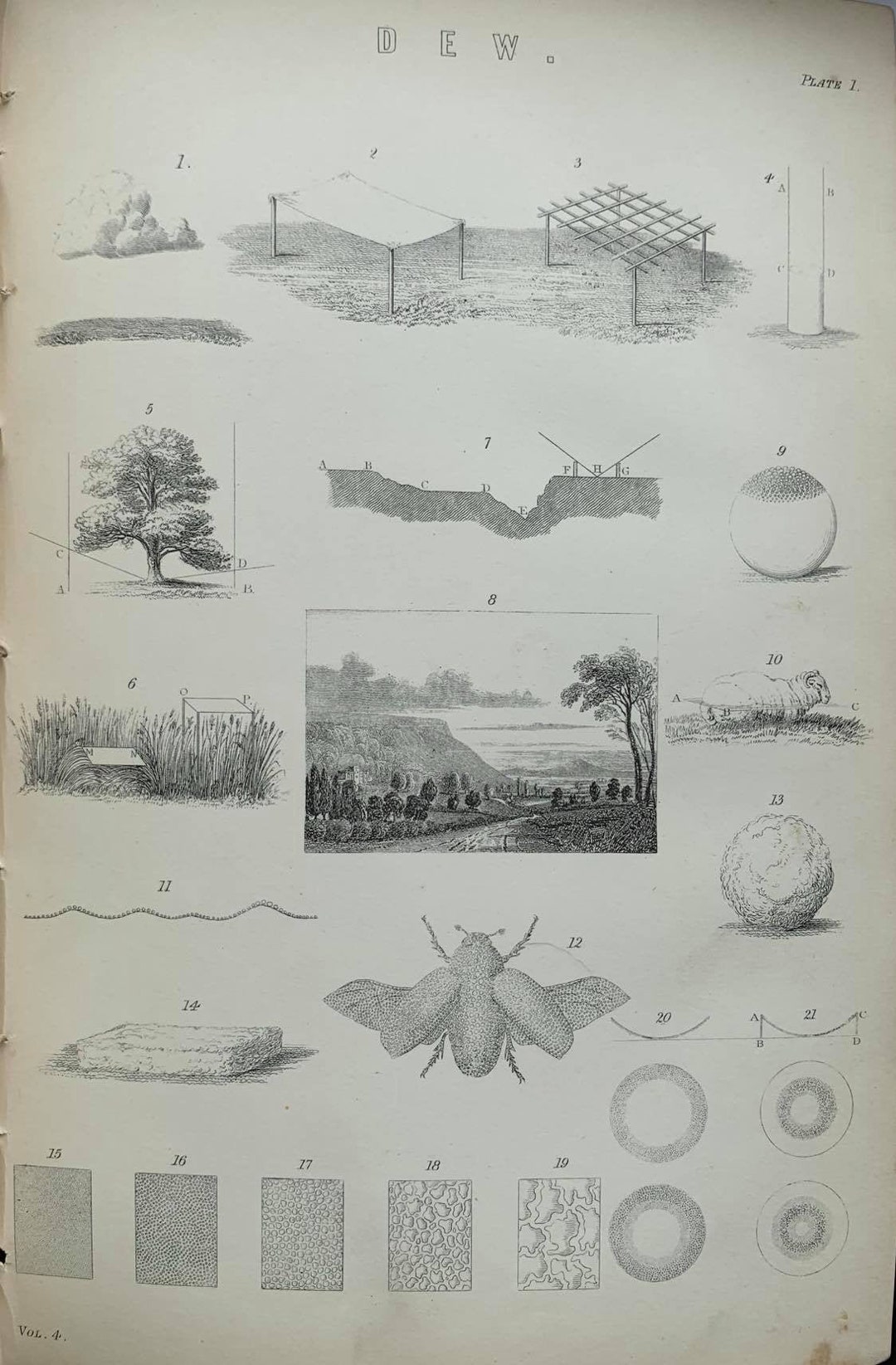 Original 100 Year Old Black and White Plate 'dew Plate 1' From the ...