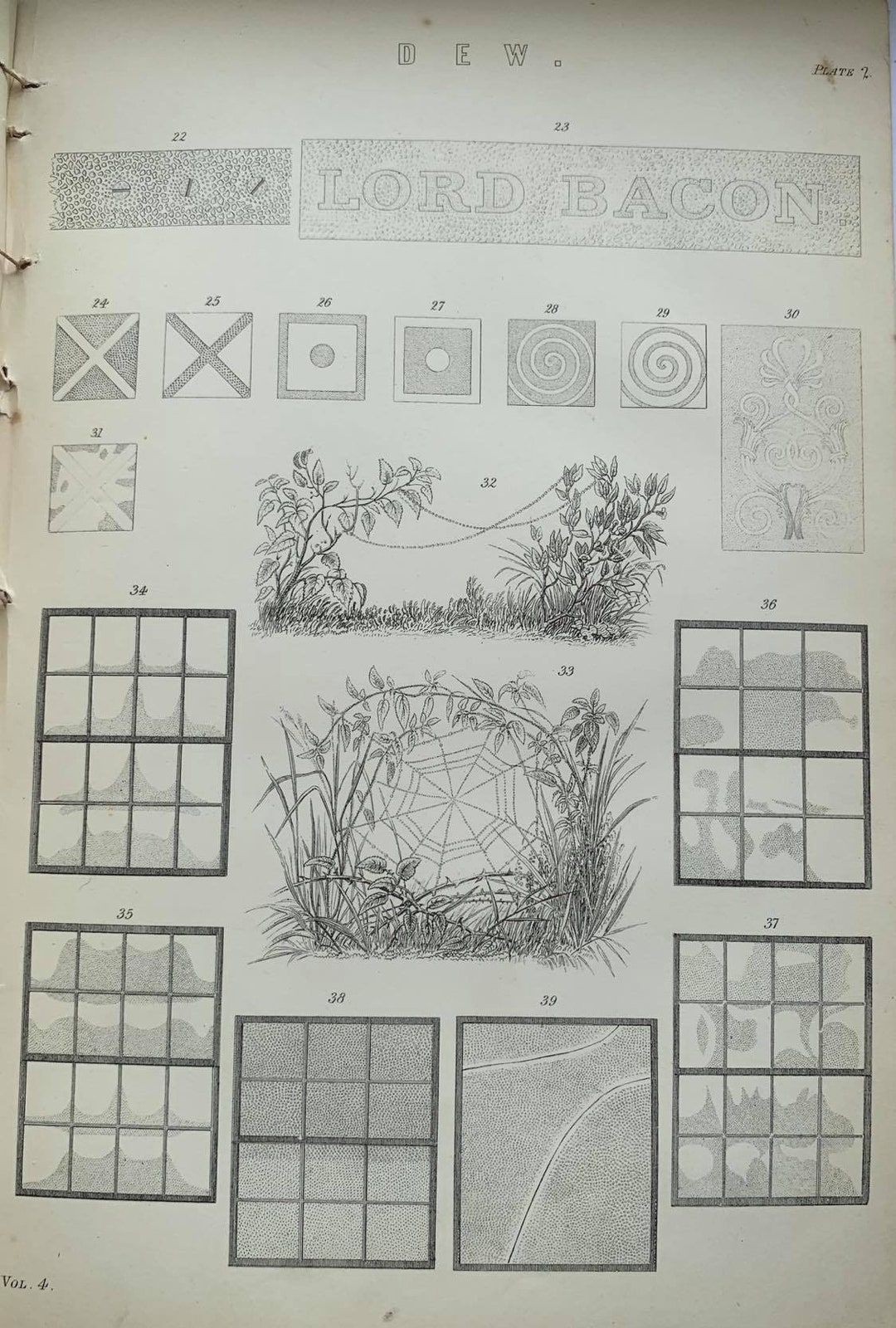 Original 100 Year Old Black and White Plate 'dew Plate 2' From the ...