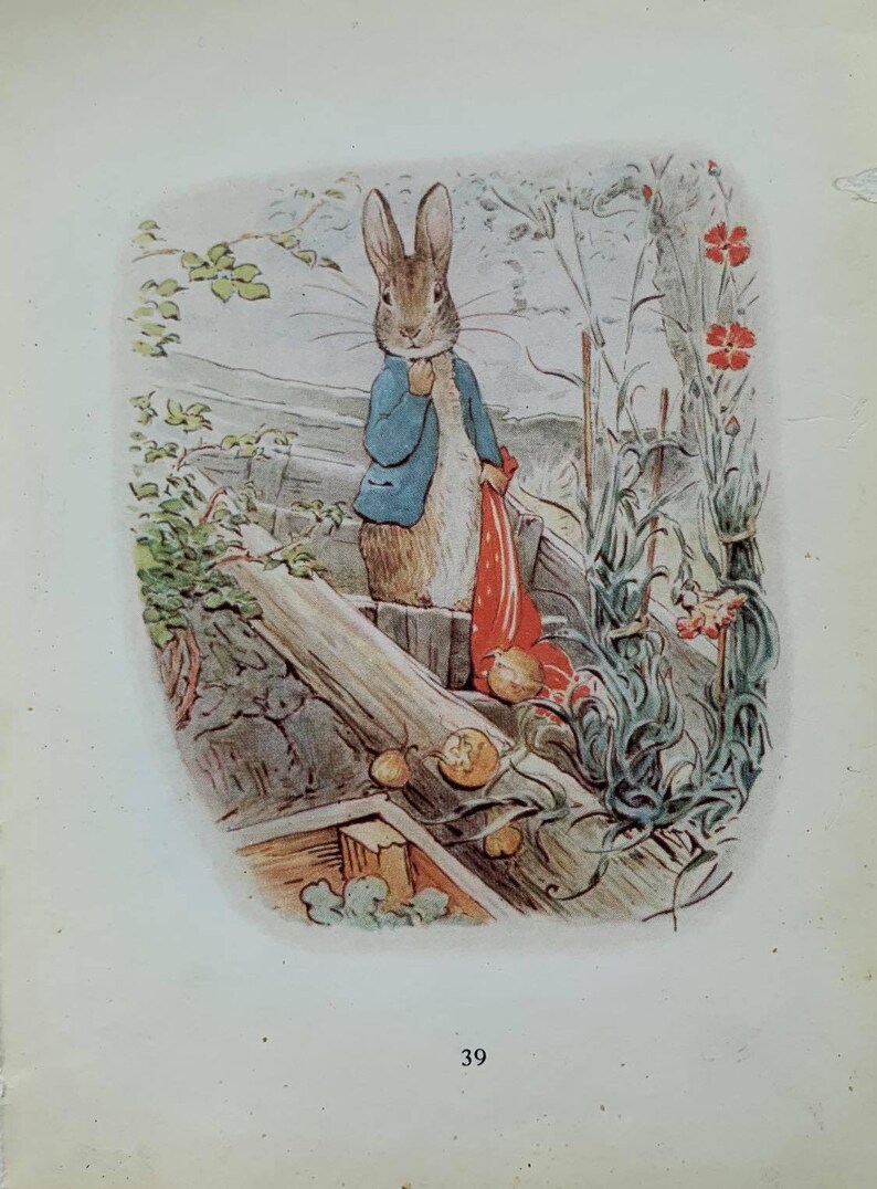 1920's Vintage 'peter Rabbit Thinking' and - Etsy UK
