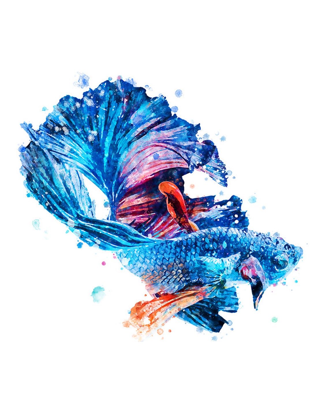 Betta Fish Print Blue Betta Fish Painting Animal Poster Wall - Etsy