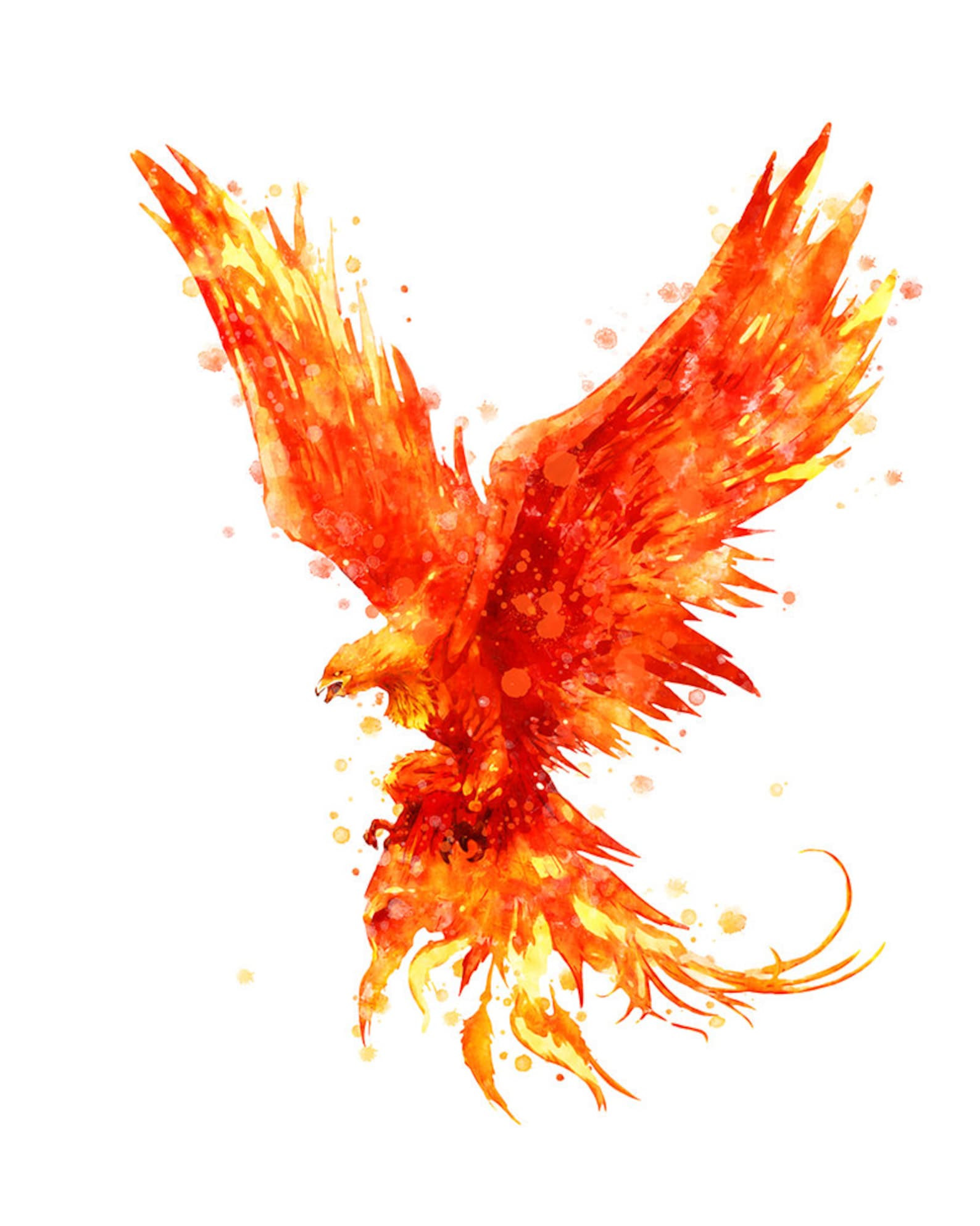 Phoenix Watercolor Poster Phoenix Bird Art Print Fire Bird | Etsy