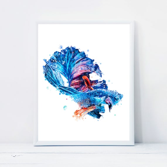 Betta Fish Print Blue Betta Fish Painting Animal Poster Wall - Etsy